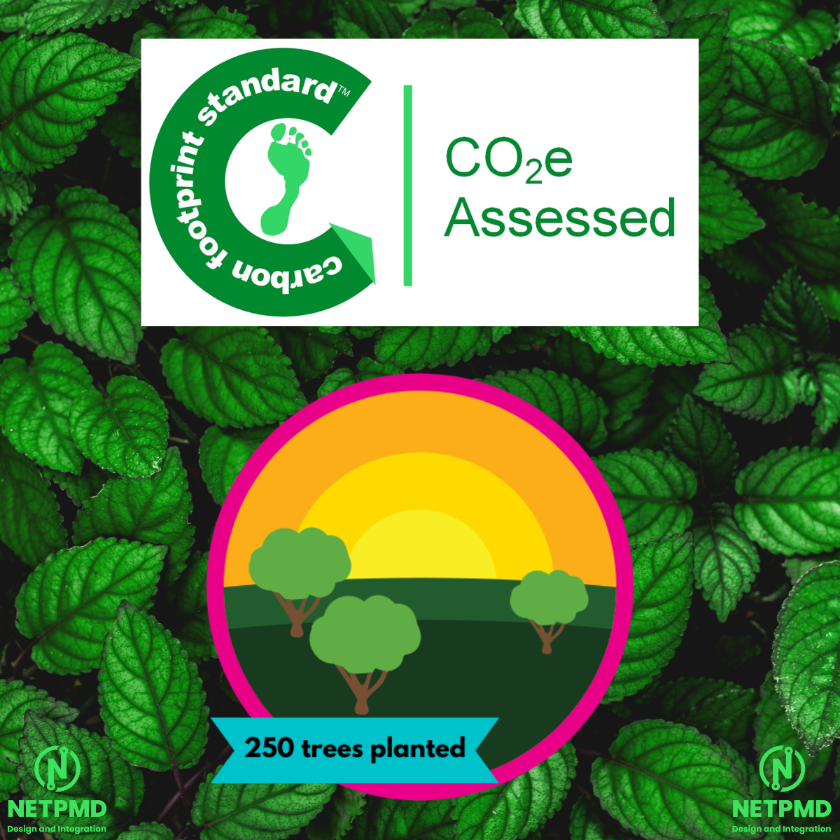 NetPMD Achieves Carbon-Assessed Certification - NetPMD NetPMD