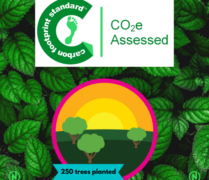 NetPMD - Fibre - Network - Design - Integration - Experts - NetPMD